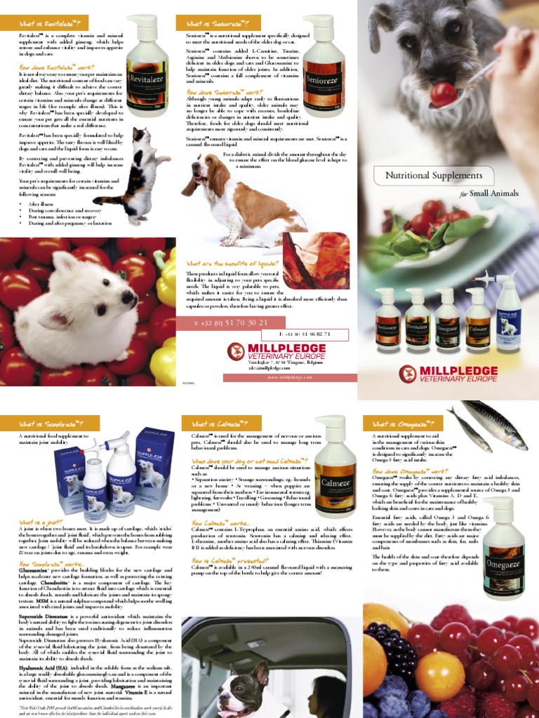 Nutraceuticals Leaflet ENG | Dietary Supplements | Nutrition