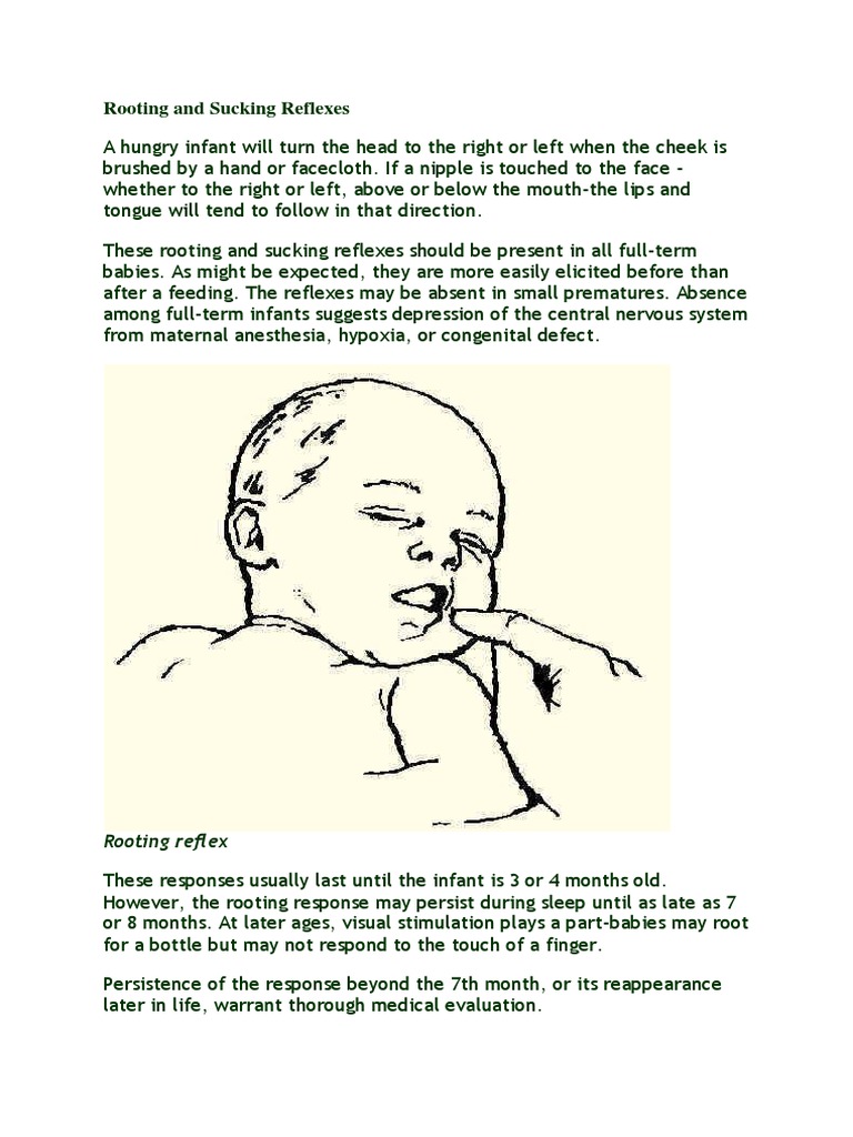 Rooting and Sucking Reflexes | PDF | Infants | Anatomical Terms Of Motion