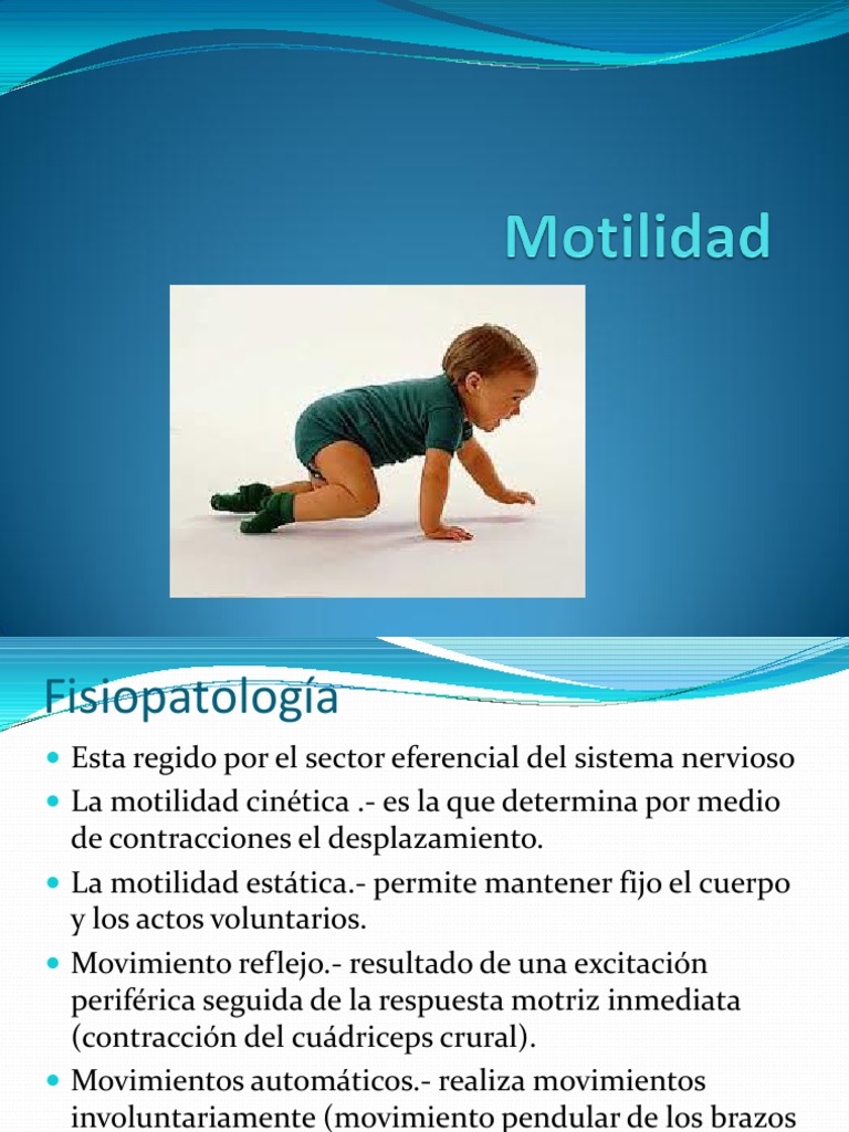 Motilidad Estática y Cinética en Fisiopatología | PDF | Médula espinal ...
