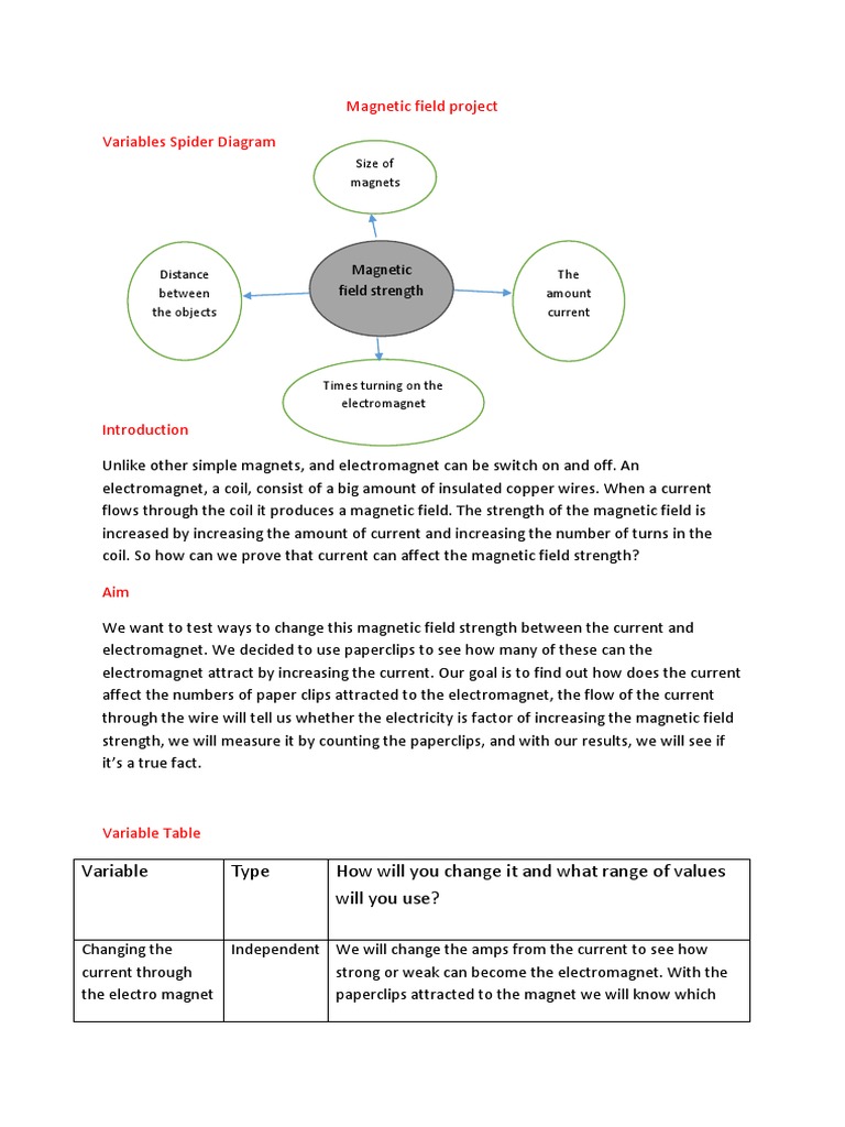 Magnetic Field Experiment | Download Free PDF | Magnetic Field ...