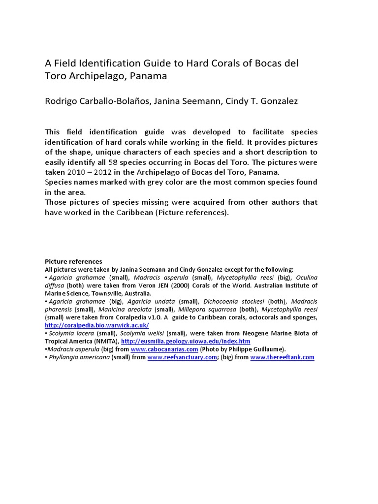 Hard Coral Identification Guide | PDF | Coral | Animal Taxonomy
