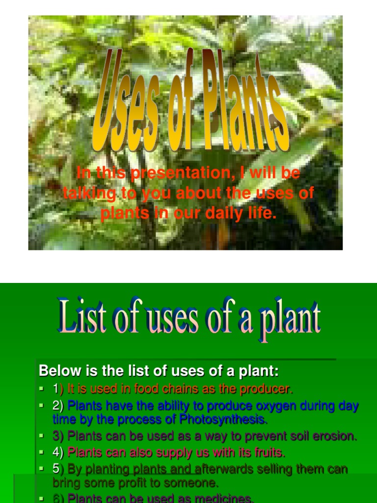 Uses of Plants in Daily Life | PDF