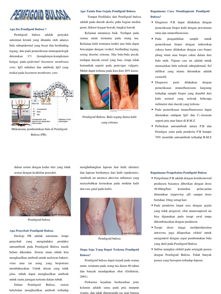Pemfigoid Bulosa | PDF | Pengembangan Diri | Kesehatan Holistik