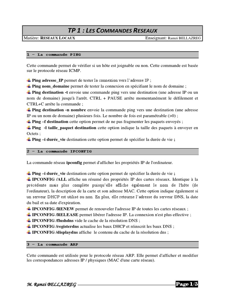 TP1 Reseaux Les Commandes Reseaux | PDF