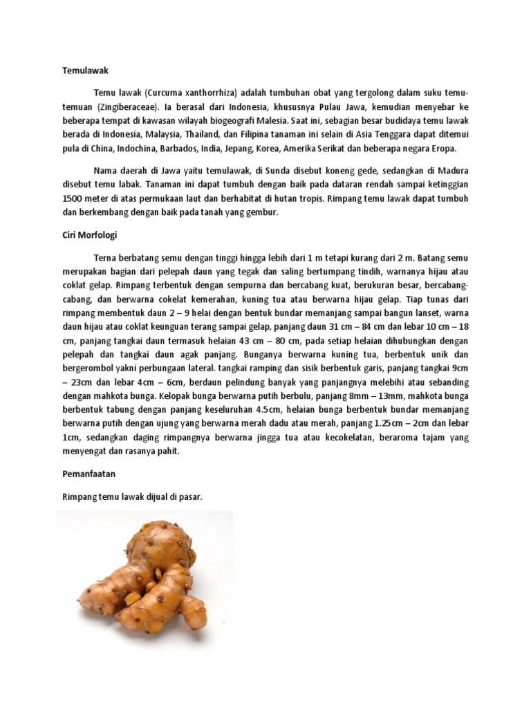 Temulawak | PDF | Sains & Matematika