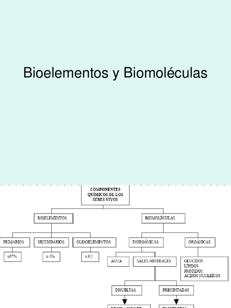Bioelementos y Biomoléculas | PDF | Biomoléculas | Compuestos orgánicos