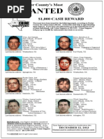 Suspect Description Form | PDF