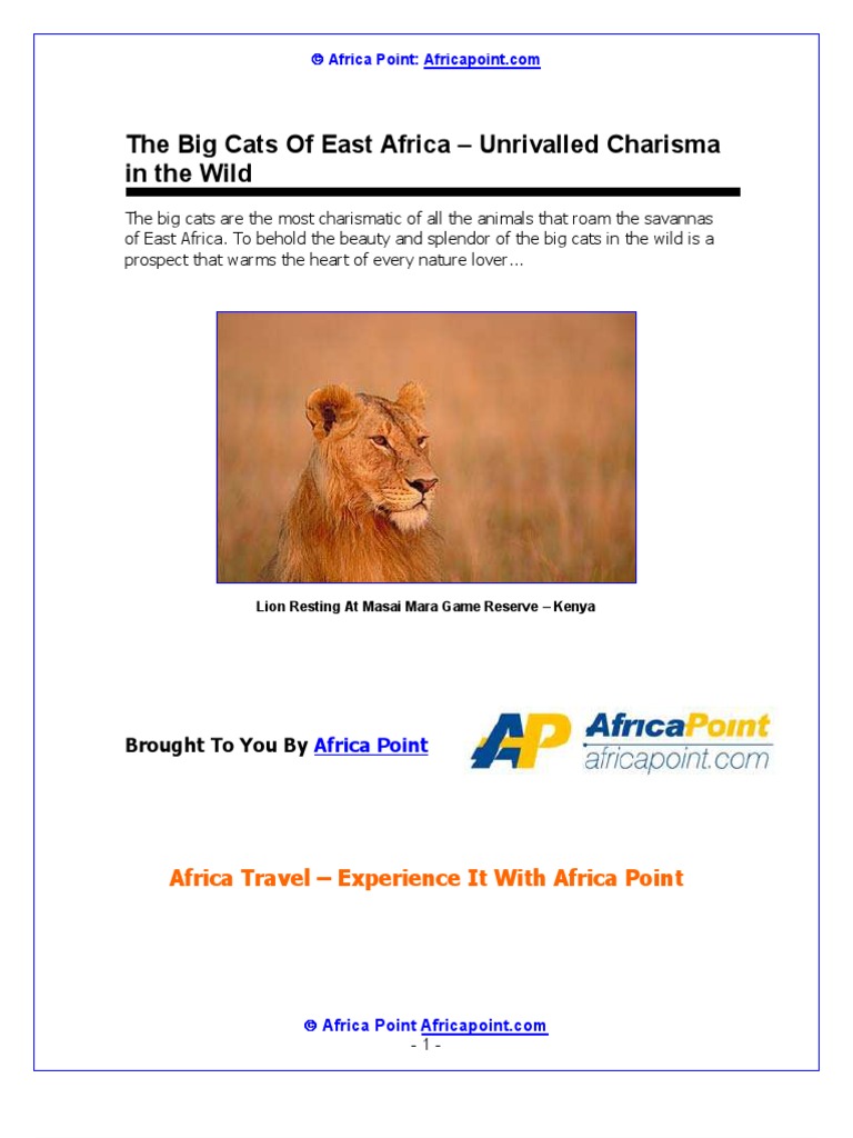 Big Cats of Africa | PDF | Lion | Leopard