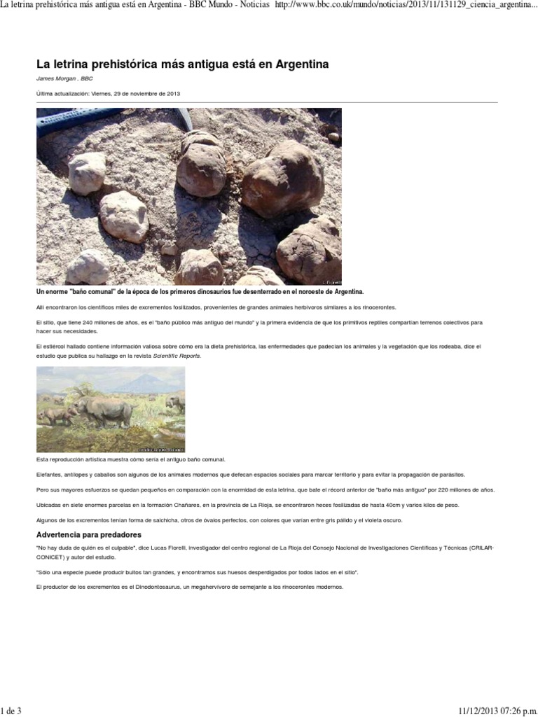 La Letrina Prehistórica Más Antigua Está en Argentina - BBC Mundo ...