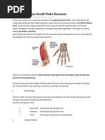 Arah Gerak Sendi Pelana | PDF