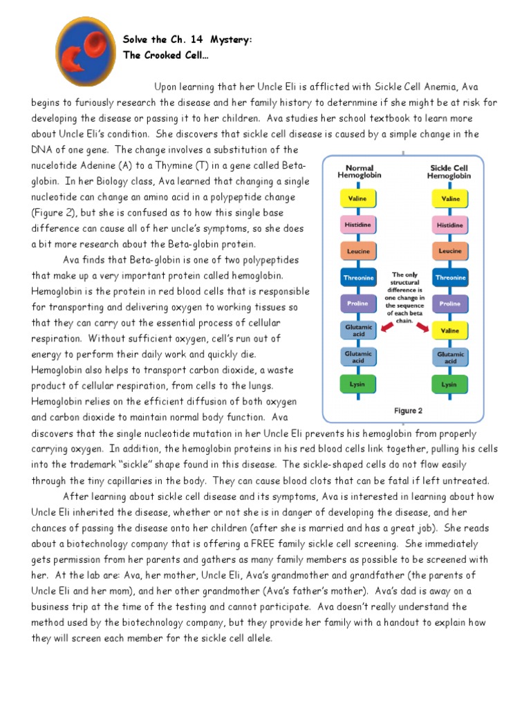Gel Electrophoresis Of Sickle Cell Instructions Gel Electrophoresis Sickle Cell Disease