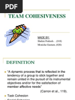 Carron's Model of Team Cohesion Factors | PDF | Leadership | Group ...