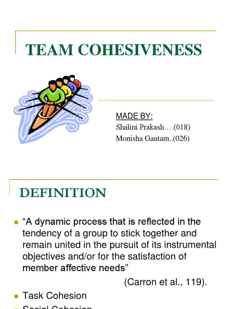 Team Cohesion | Group Cohesiveness | Social Group