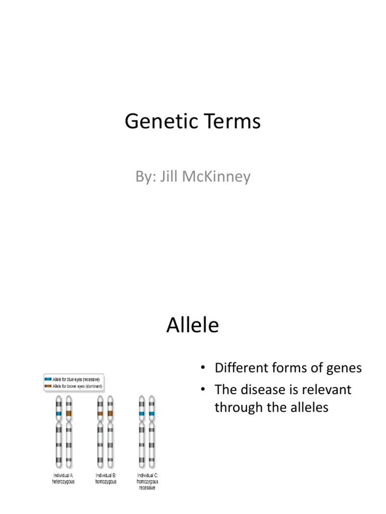 Genetic Terms | PDF