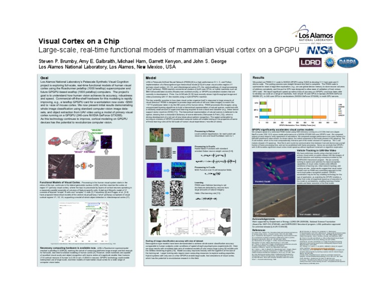 Large-Scale, Real-Time Functional Models of Mammalian Visual Cortex On ...