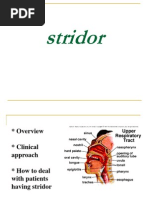 Stridor & Stertor: by Dr. Baseem N. Abdulhadi | PDF | Respiratory ...