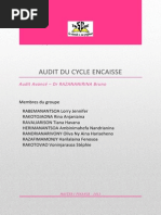Présentation Rapport D'audit | PDF | Contrôle interne | Audit
