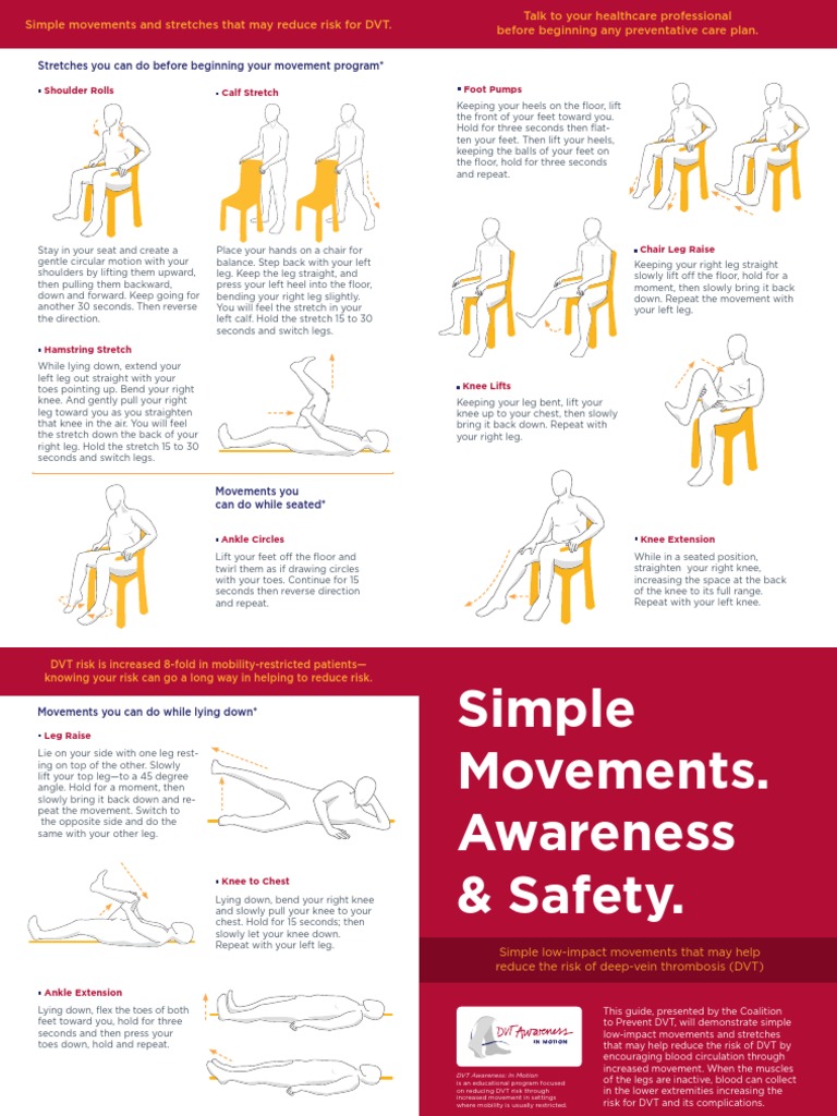 DVT Exercise Guide | PDF | Foot | Anatomical Terms Of Motion