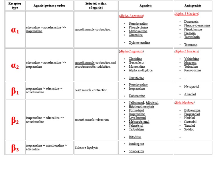 Alpha and Beta Adrenergic Receptors Chart | PDF