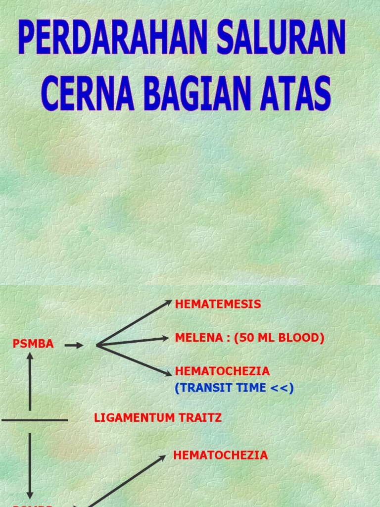 Perdarahan Saluran Cerna Atas Dan Bawah | PDF