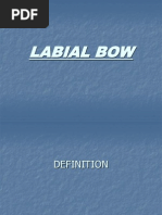 Orthodontic Labial Bows Guide | PDF | Mouth | Dentistry Branches
