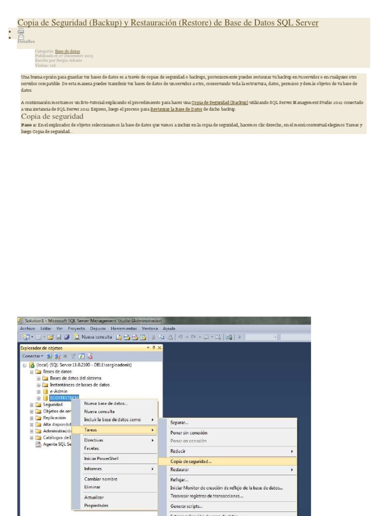 Copia de Seguridad (Backup) y Restauración (Restore) de Base de Datos ...