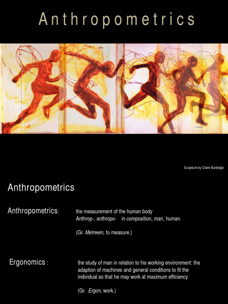Anthropometrics V2 | Anthropometry | Home & Garden