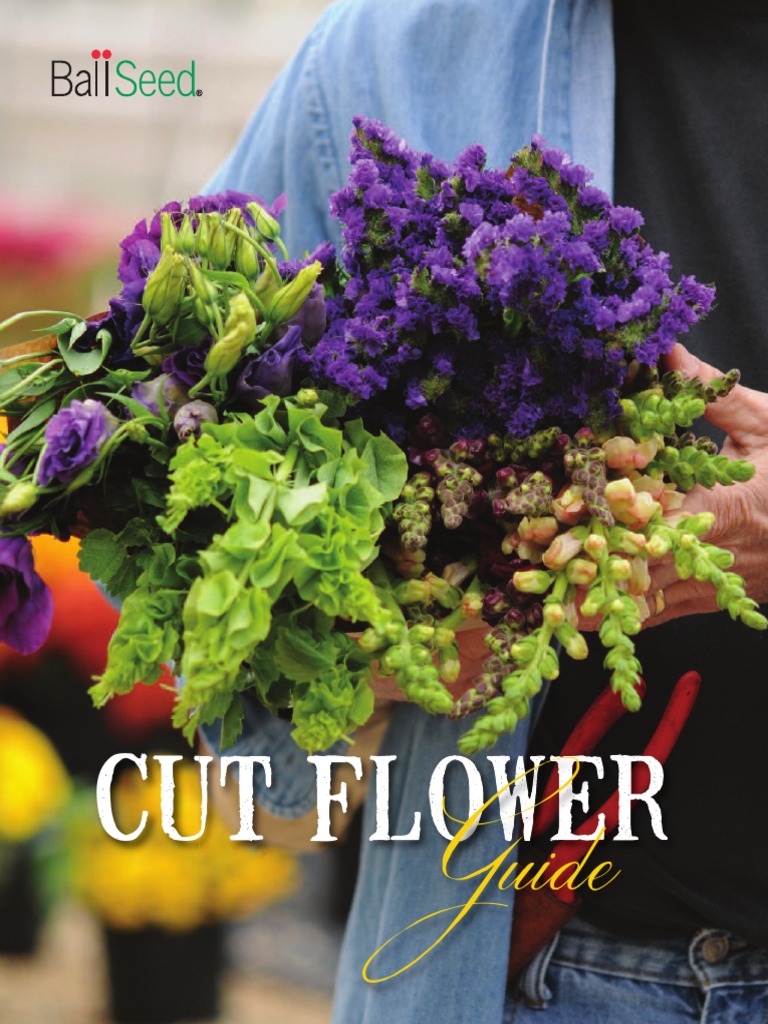 Cut Flower Guide | PDF | Floristry | Tillage