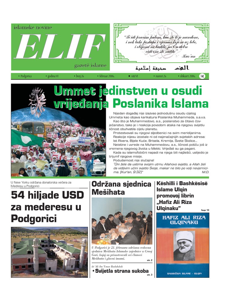 Elif 17 | PDF