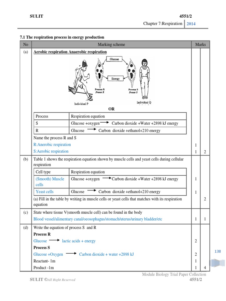 BIOLOGY Form 4 Chapter 7 | PDF | Respiratory System | Lung