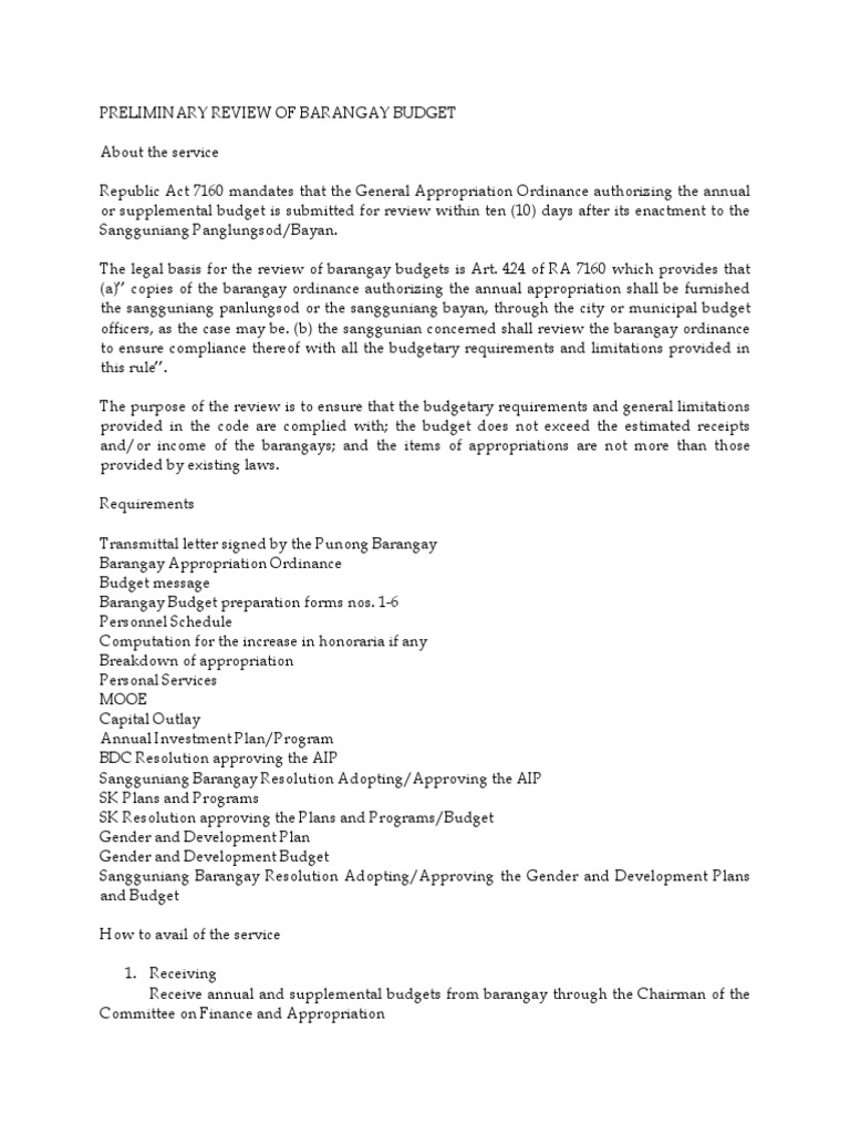 preliminary-review-of-barangay-budget-pdf-budget-social-institutions