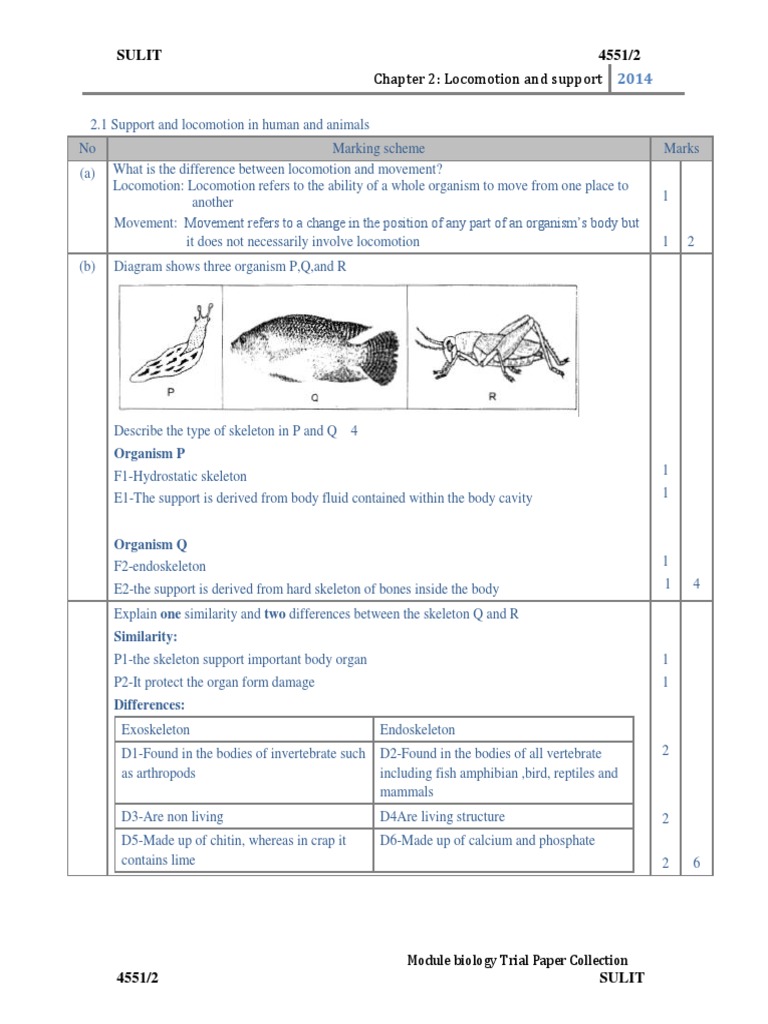 BIOLOGY Form 5 Chapter 2 | PDF | Vertebra | Vertebral Column