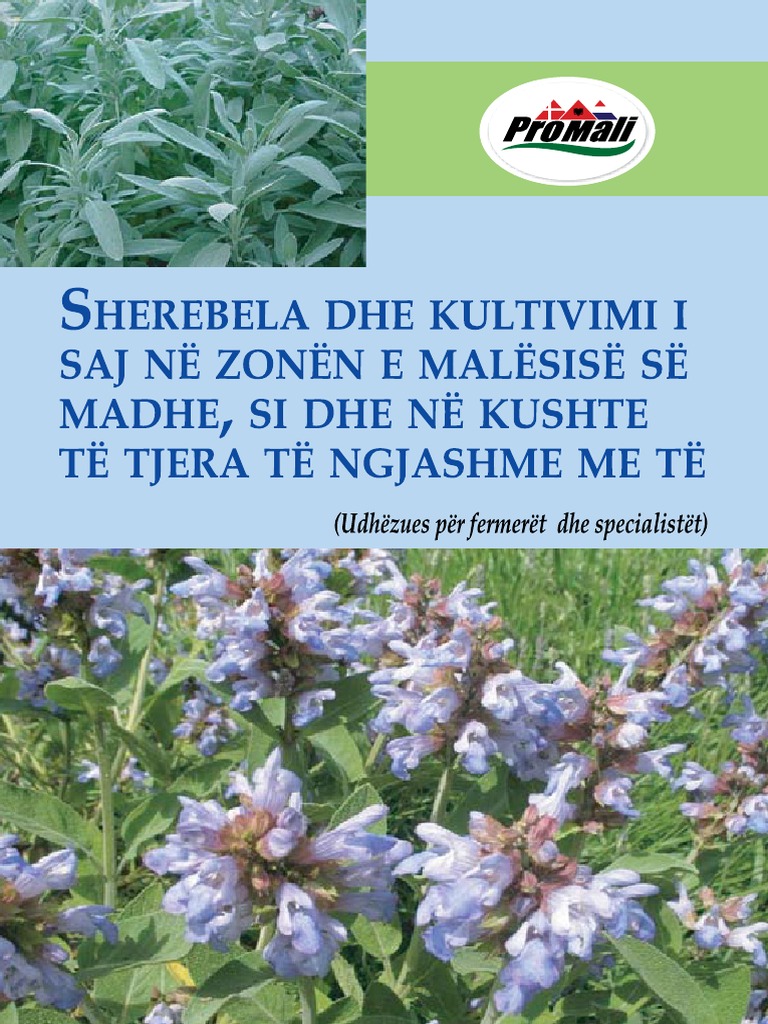 Broshura Sherebela | PDF