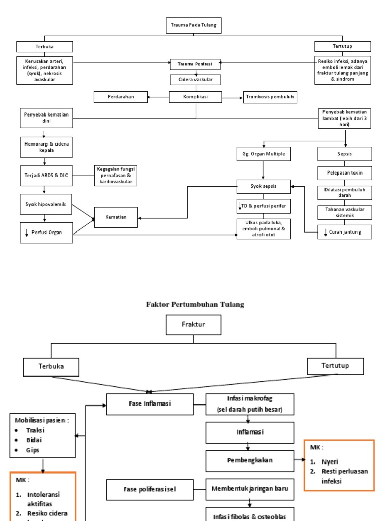 Pathway Fraktur | PDF