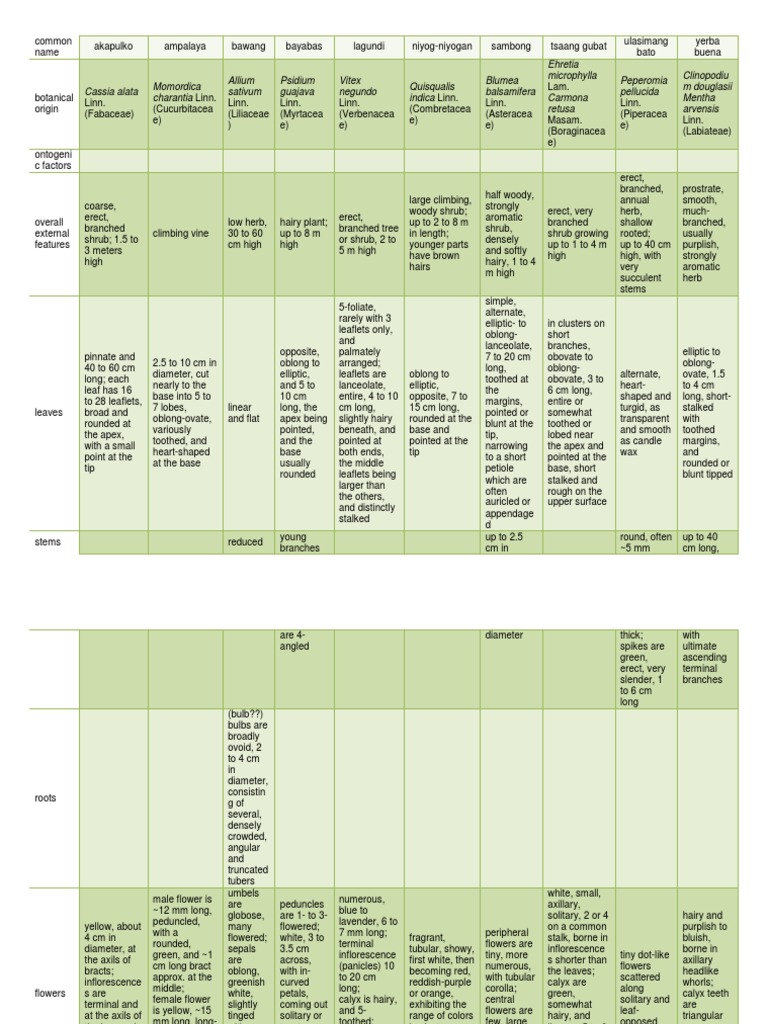 10 Halamang Gamot | PDF | Petal | Fruit