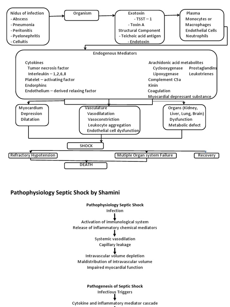 Pathophysiology Septic Shock | PDF | Peradangan | Sepsis