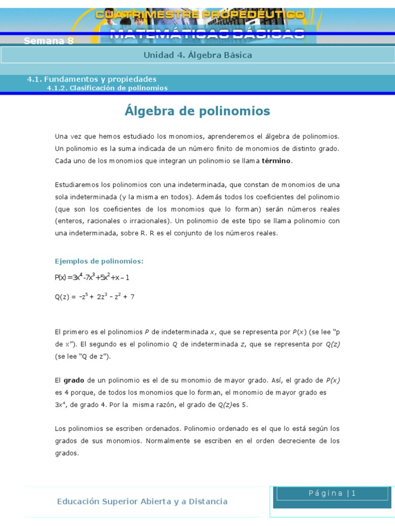 Algebra de Polinomios | PDF | Polinomio | Ciencia computacional