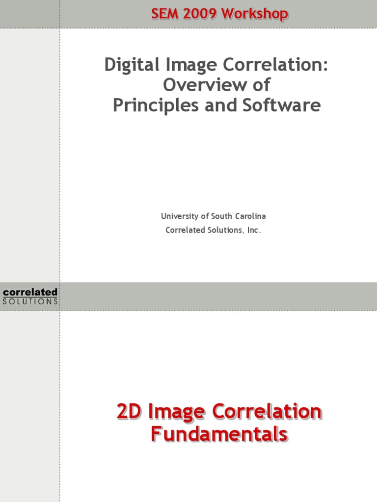 DIC Overview | PDF