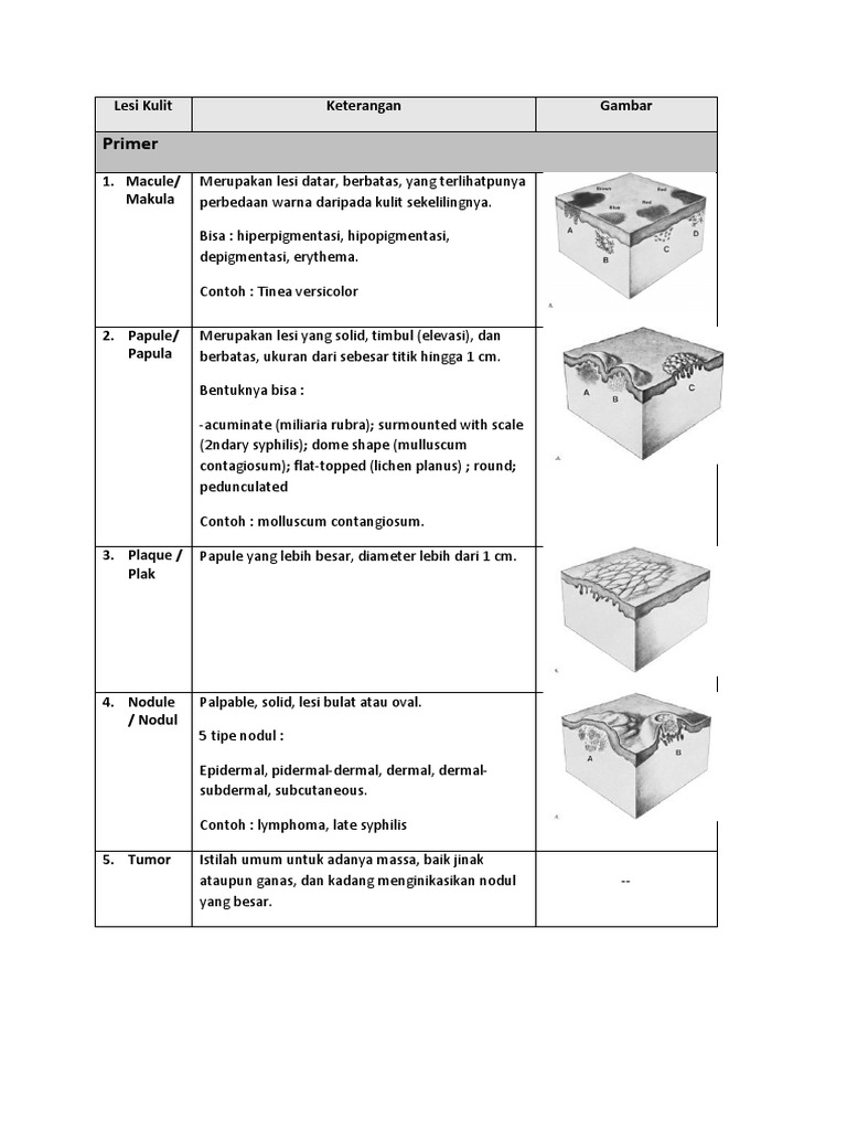 Lesi Kulit | PDF