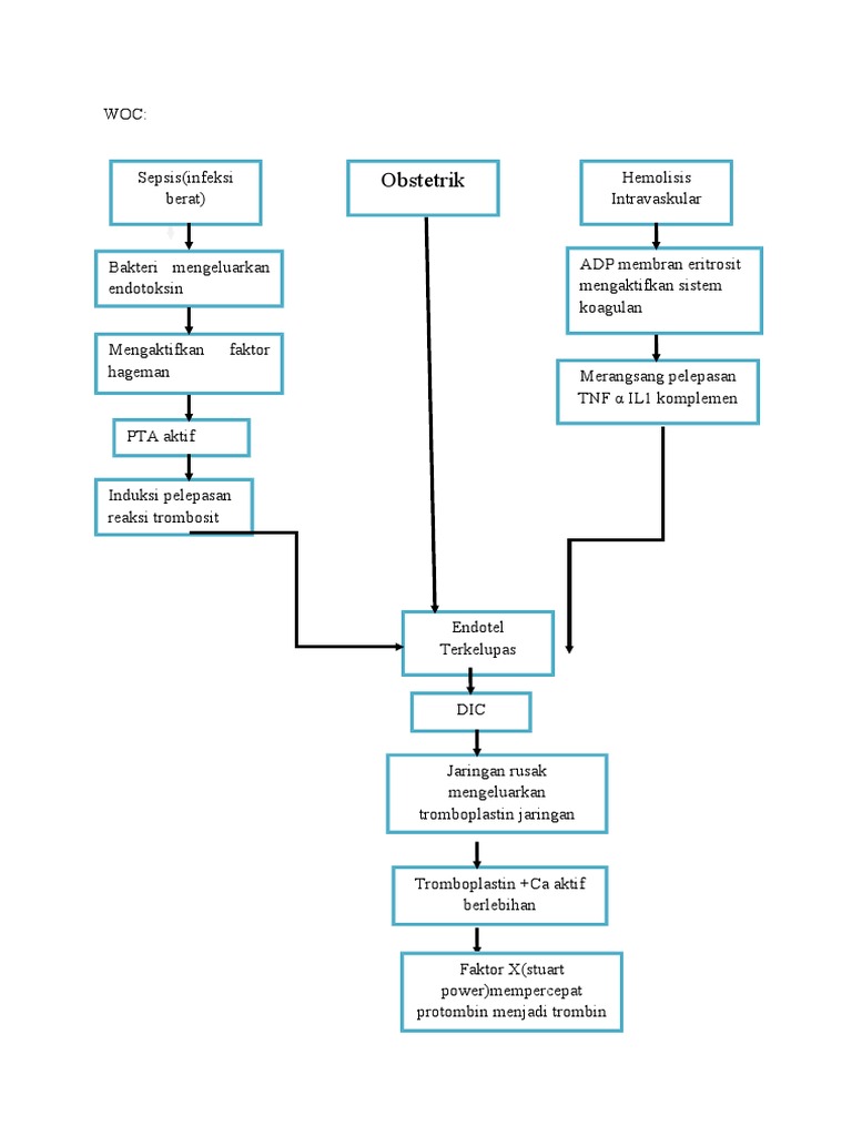 Woc Dic | PDF