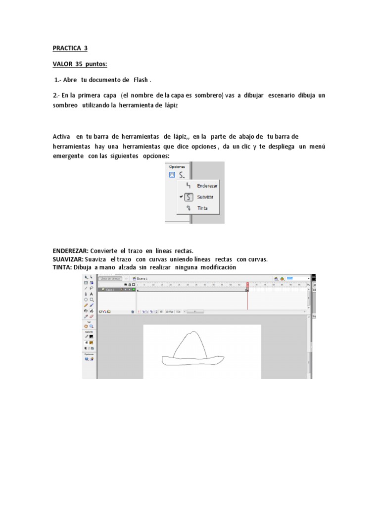 Practica 3 Flash | PDF | Animación | Ocio