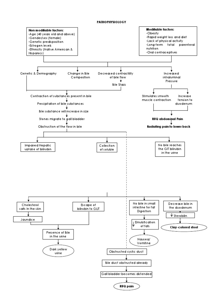 PATHOPHYSIOLOGY CHOLECYSTITIS | Bile | Gallbladder