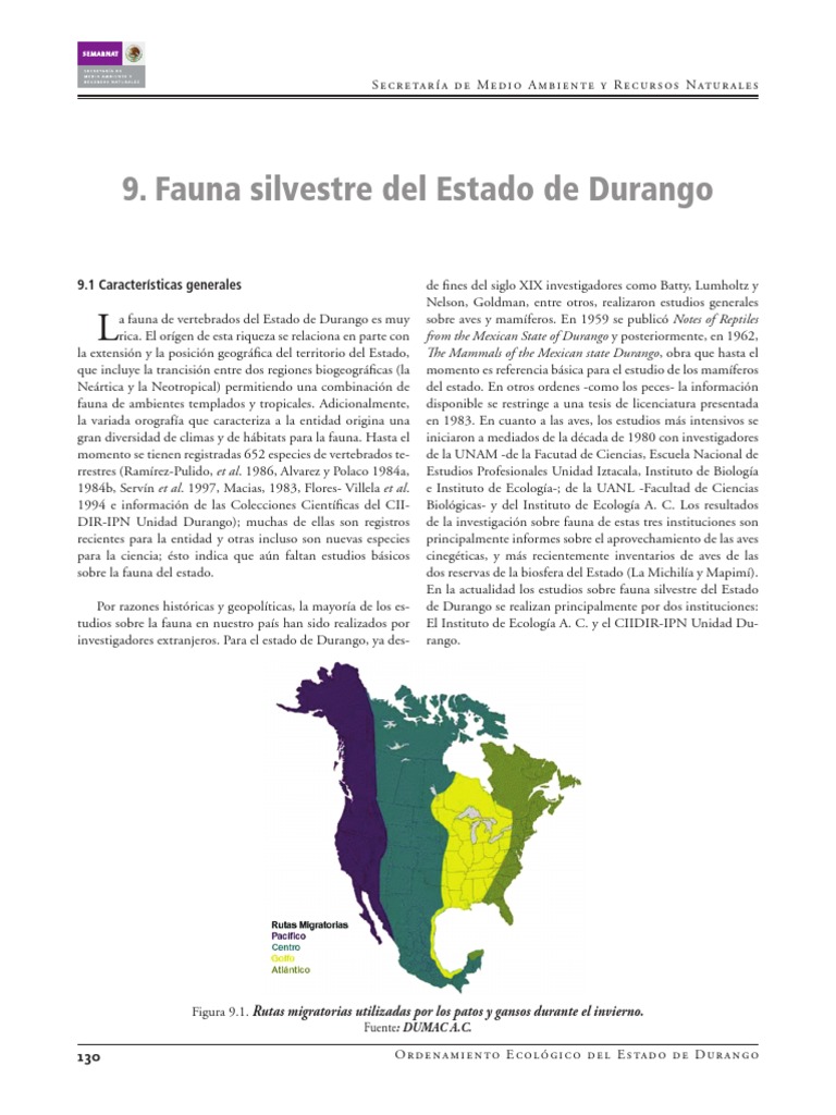 Fauna Silvestre Del Estado de Durango | PDF | Murciélago | Sierra Madre ...
