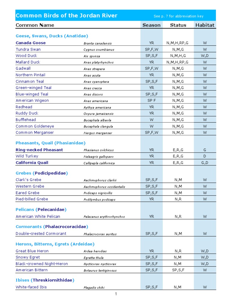 Common Birds of The Jordan River | PDF | Goose | Birds Of North America