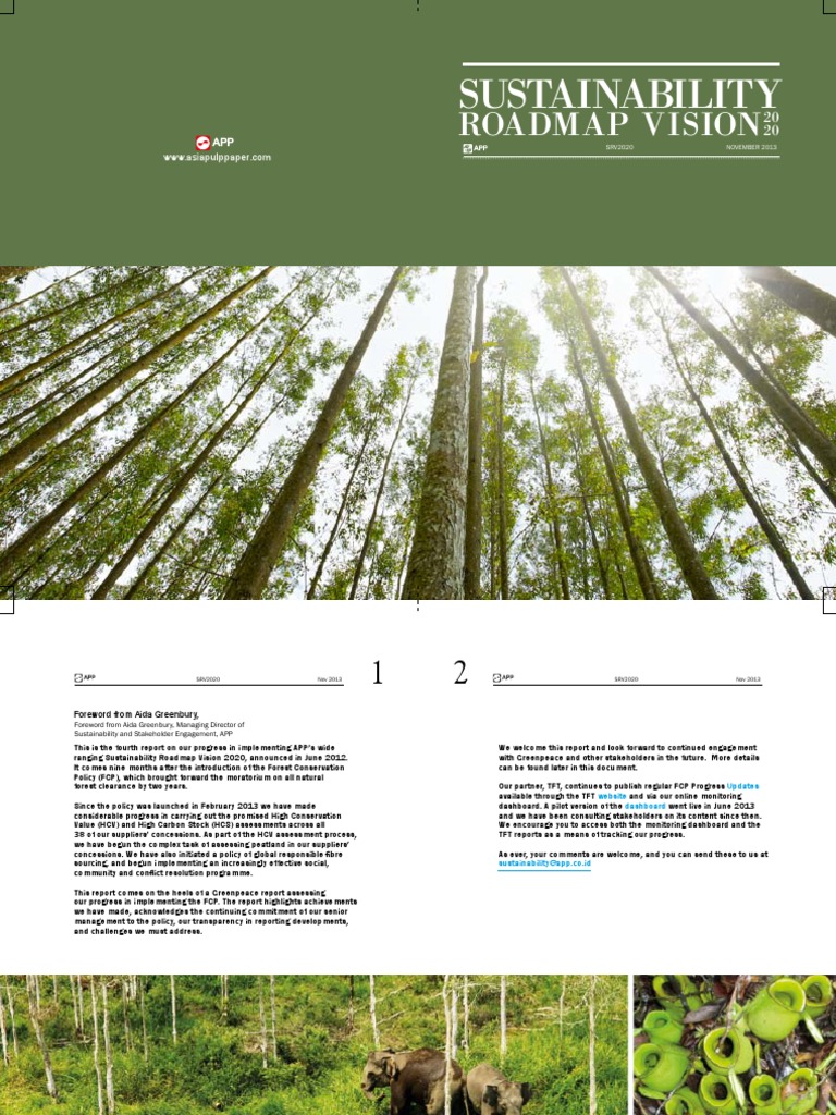 App Sustainability Roadmap Vision 2020 Fourth Progress Report Pdf