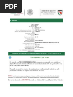 Formato de Alta Vehicular SLP | PDF | Gobierno | Business