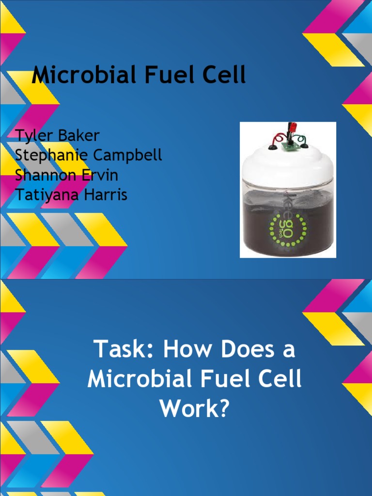 How Microbial Fuel Cells Generate Energy | PDF | Fuel Cell | Anode