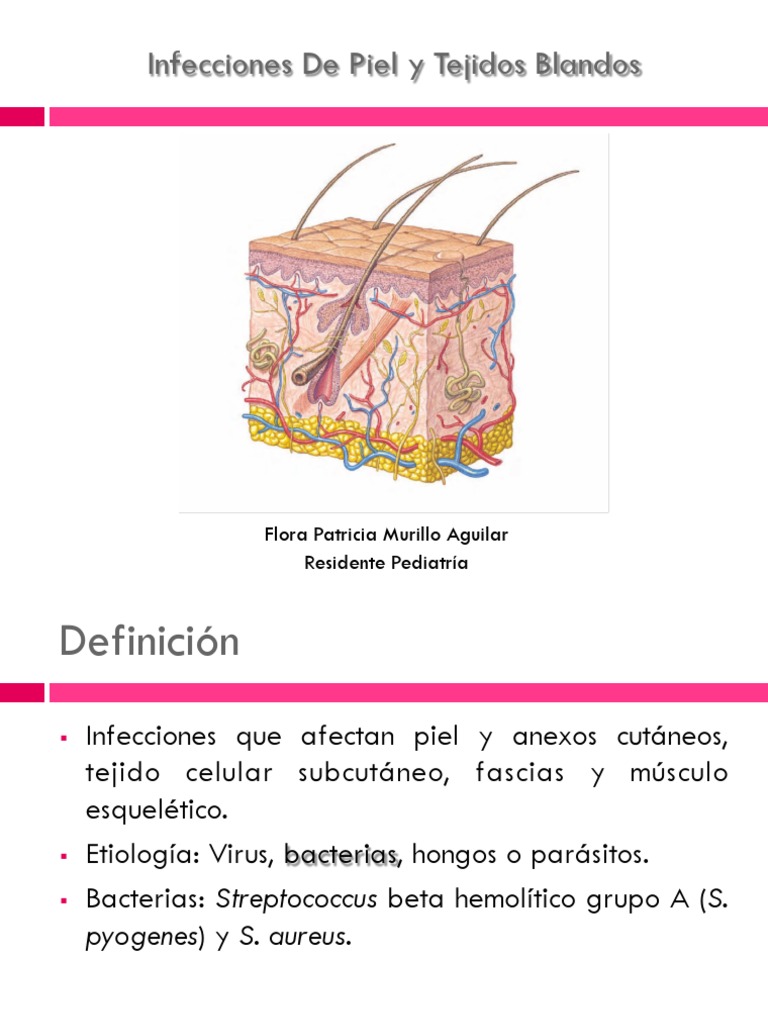 Infecciones de Piel y Tejidos Blandos | PDF | Staphylococcus Aureus ...