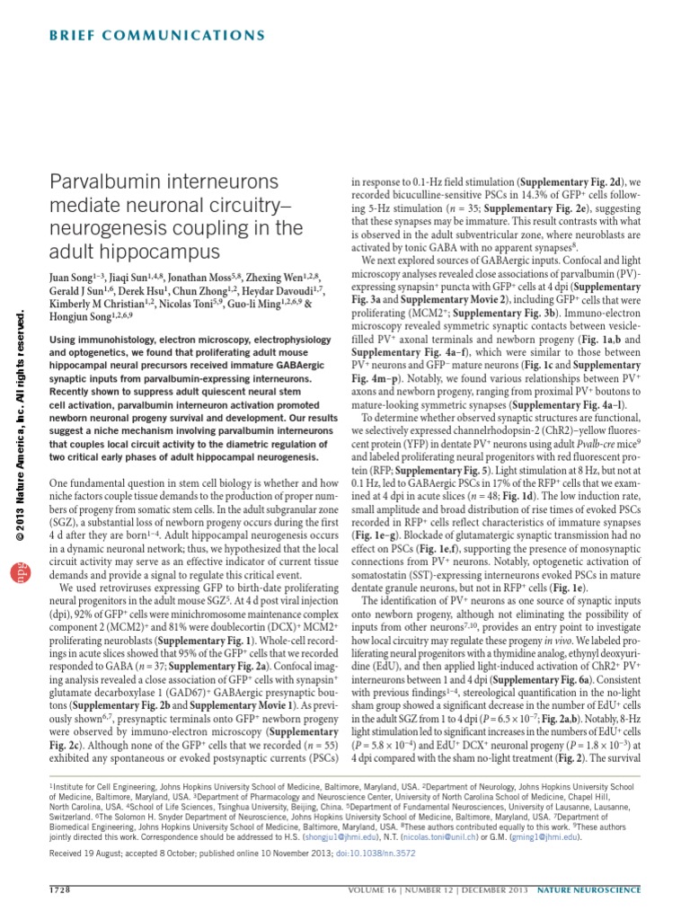Parvalbumin Interneurons Mediate Neuronal Circuitry Neurogenesis ...