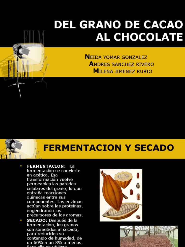 Proceso Del Cacao